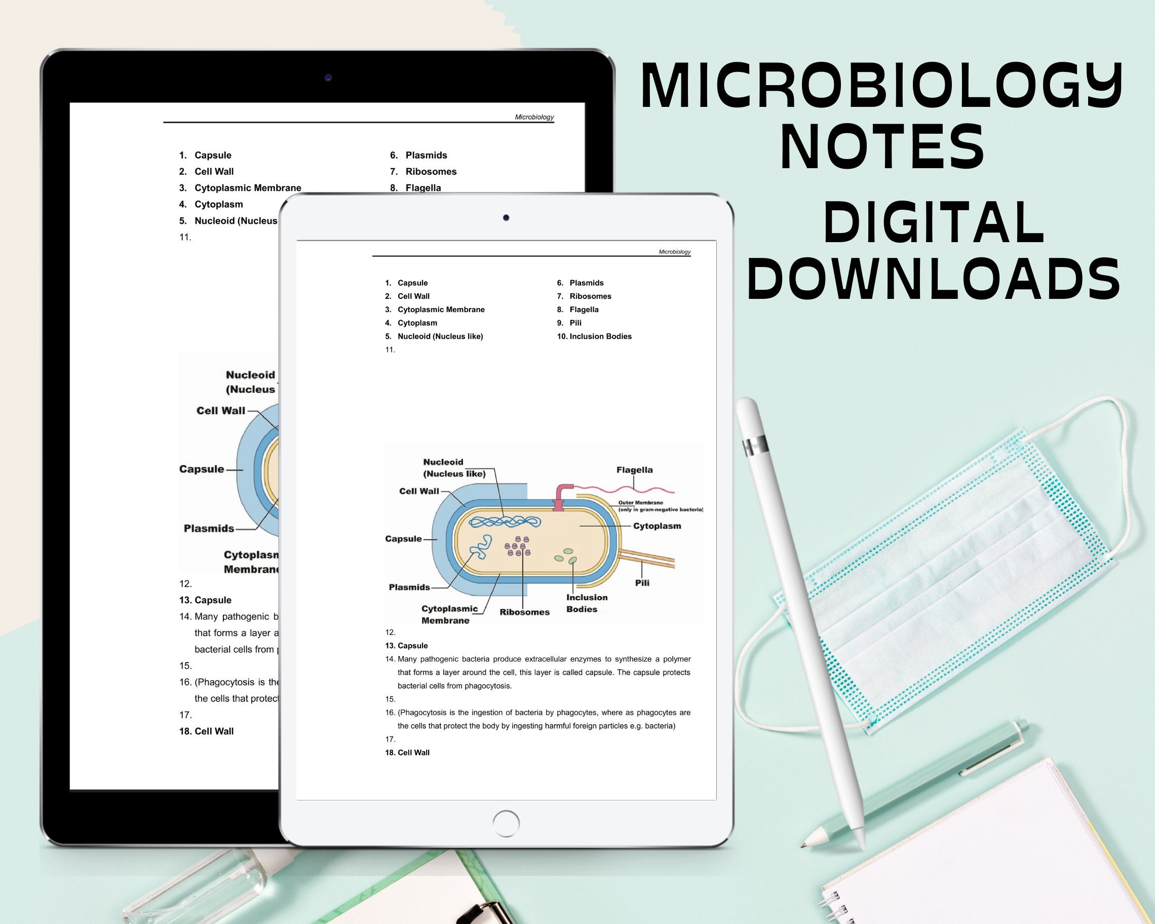 Ultimate Microbiology Notes Perfect for Medical Students to Prepare for ...