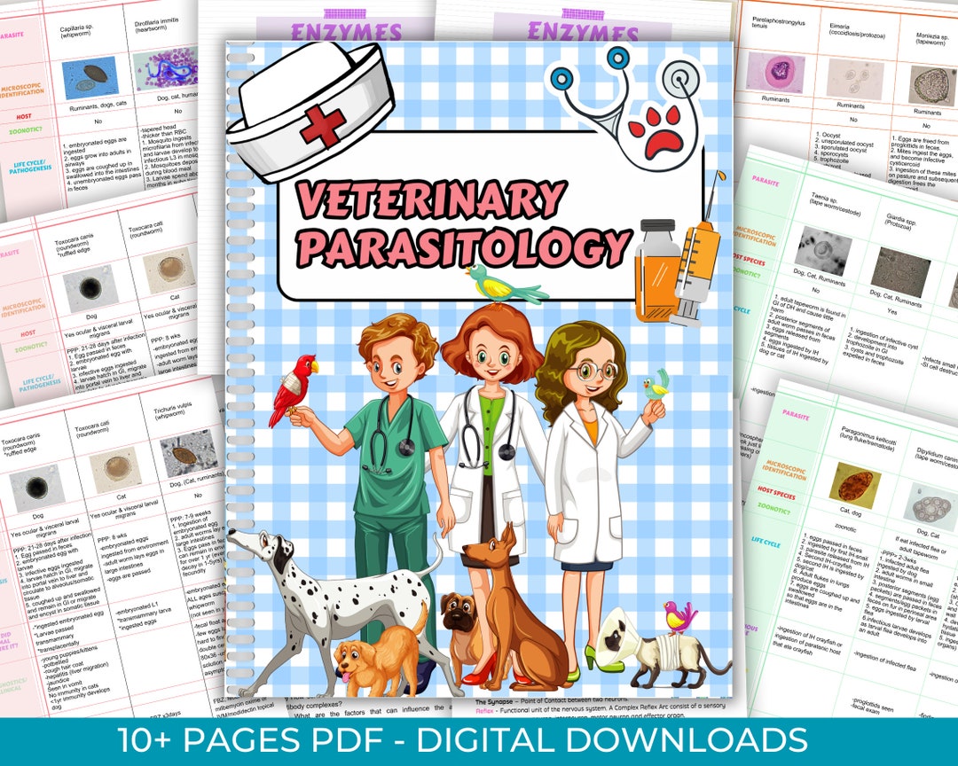 Pathophysiology Study Guide, Pathophysiology Notes, Pathophysiology ...