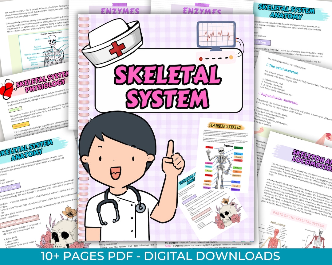 Skeletal System Notes: Anatomy Diagrams & Cheat Sheet (PDF) - Etsy