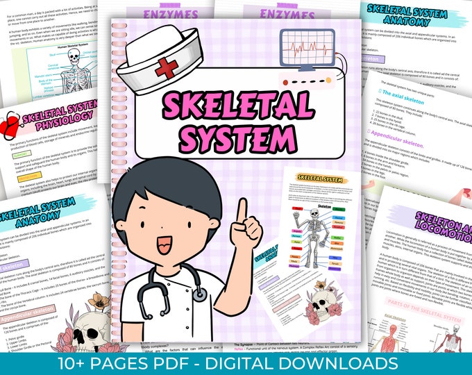 The Skeletal System Study Guide - Etsy Canada