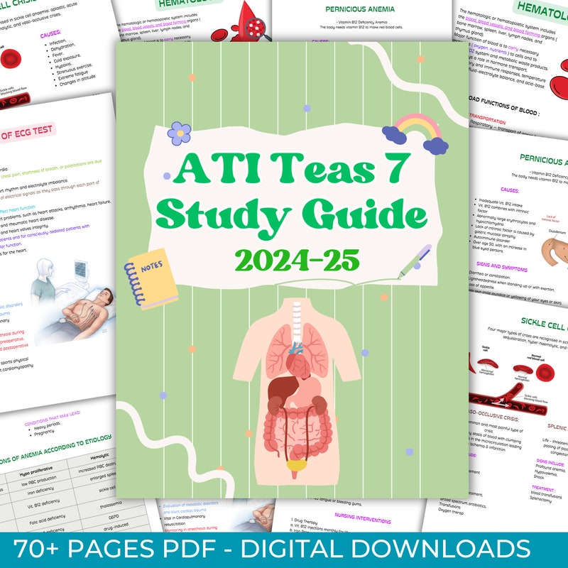 Ati Tea Study Notes - Etsy