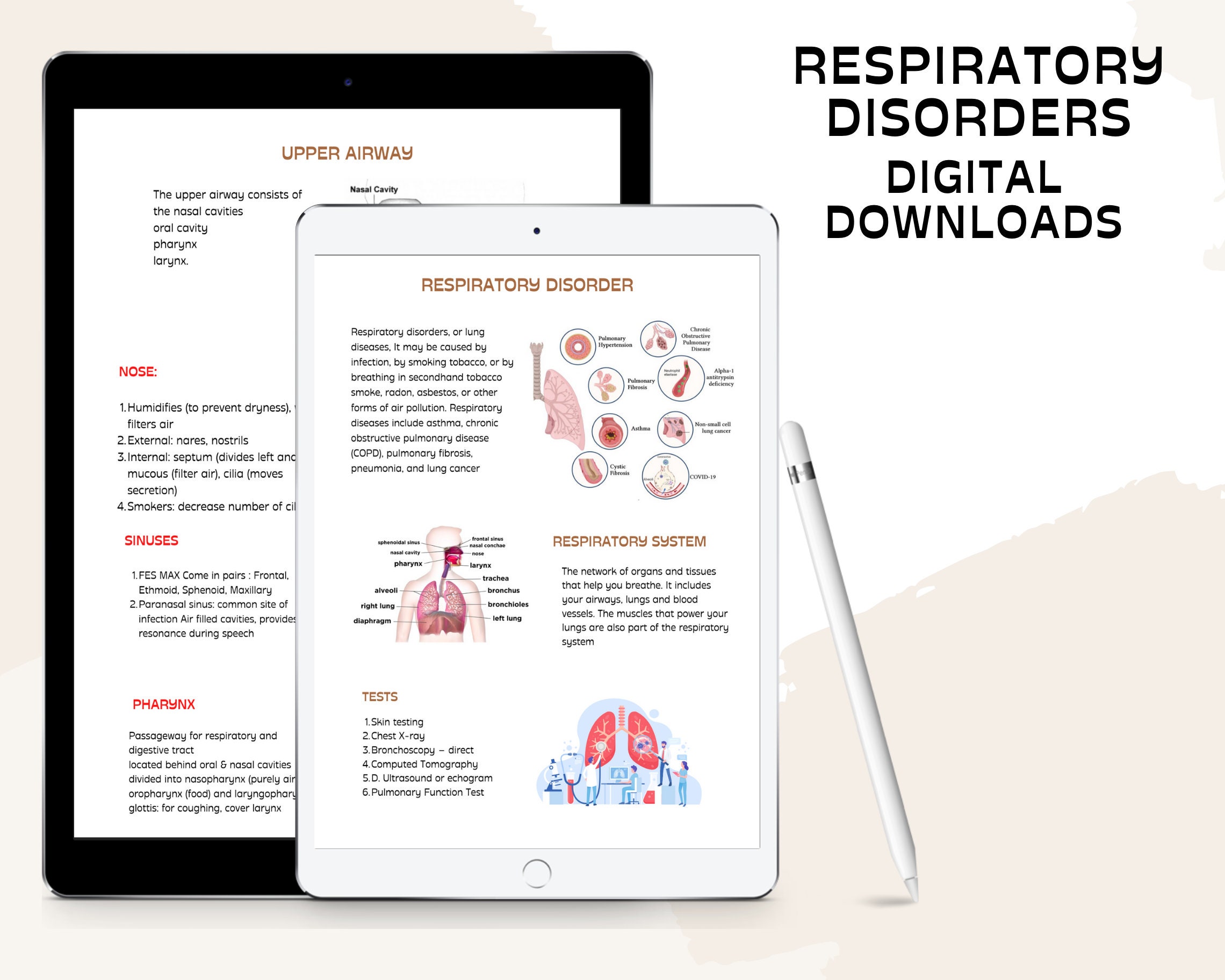 Ultimate Med Surg Nursing Notes, Nursing Bundle, Med Surg Study Guide ...