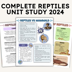 Reptiles Unit Study, Crocodile Unit Study, Turtle Unit Study, Reptiles ...