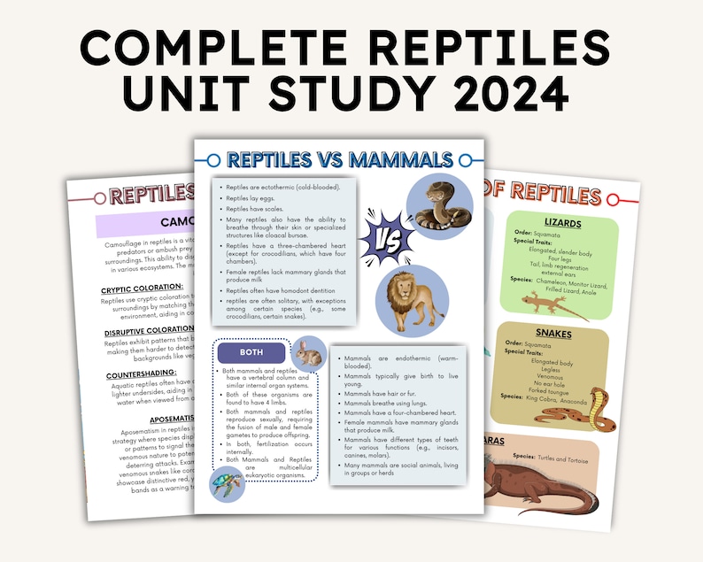 Reptiles Unit Study, Crocodile Unit Study, Turtle Unit Study, Reptiles ...