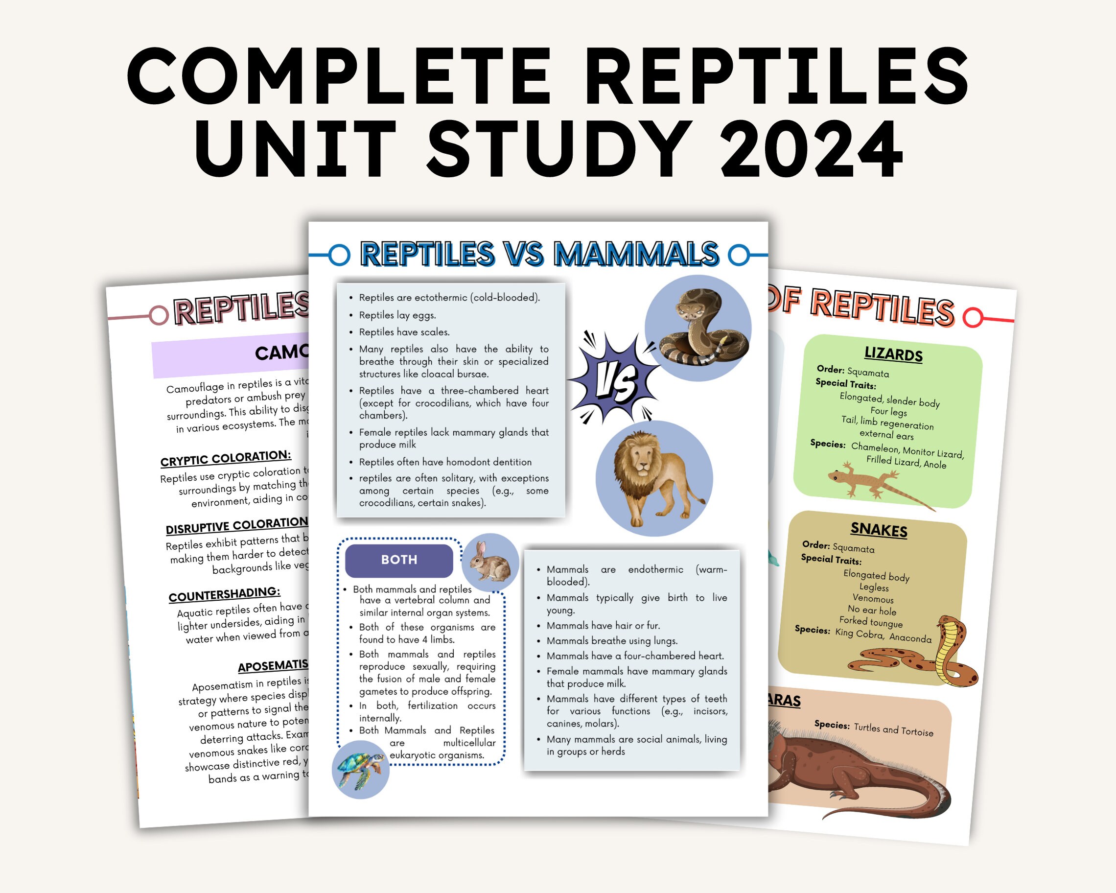 Reptiles Unit Study, Crocodile Unit Study, Turtle Unit Study, Reptiles ...