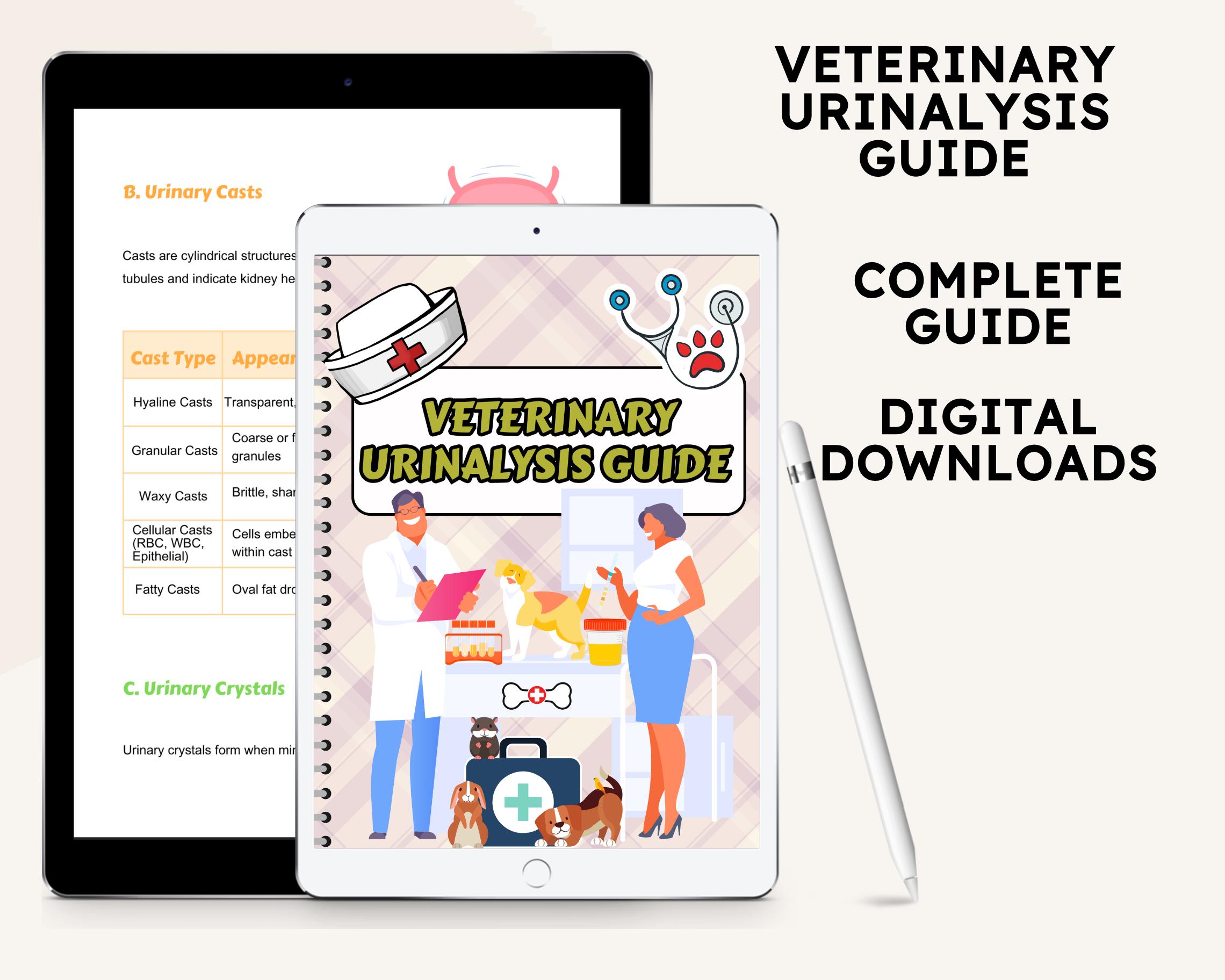 Veterinary Urinalysis Guide: Vet Tech & Student Notes (digital Download ...