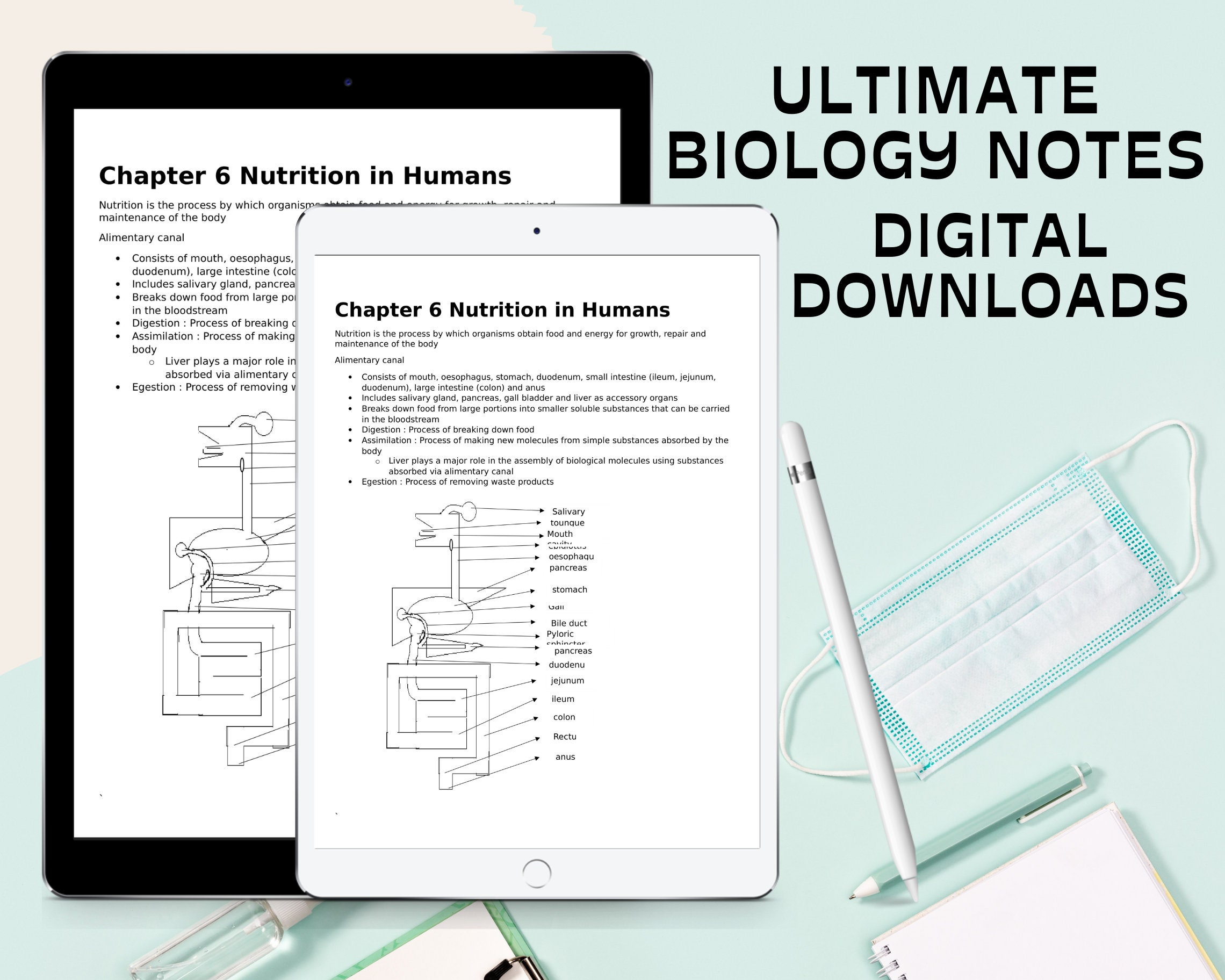 Ultimate Biology Notes Perfect for Students to Learn and Succeed in ...
