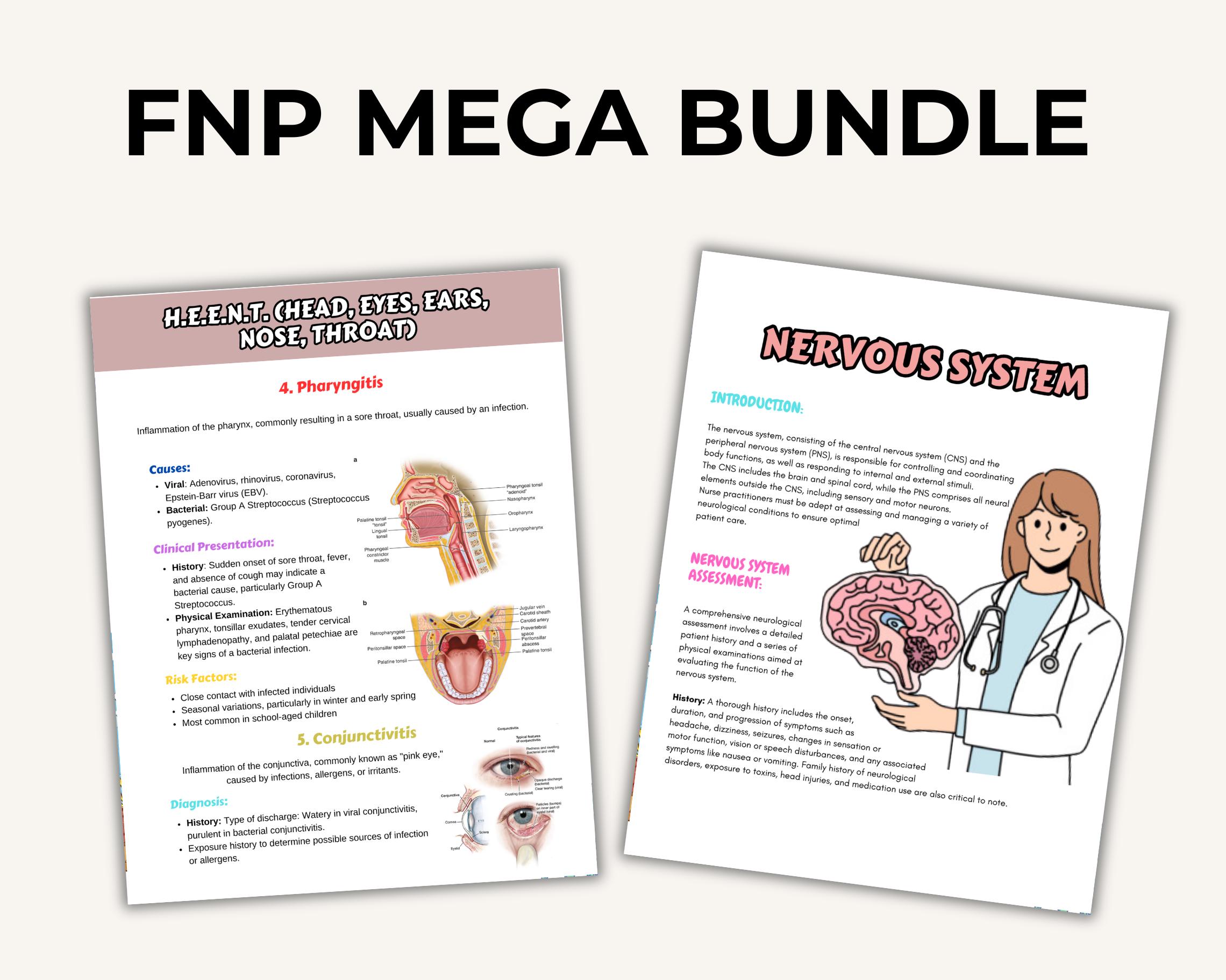 FNP Exam Prep Bundle: Pharmacology, Disease, and Clinical Review ...