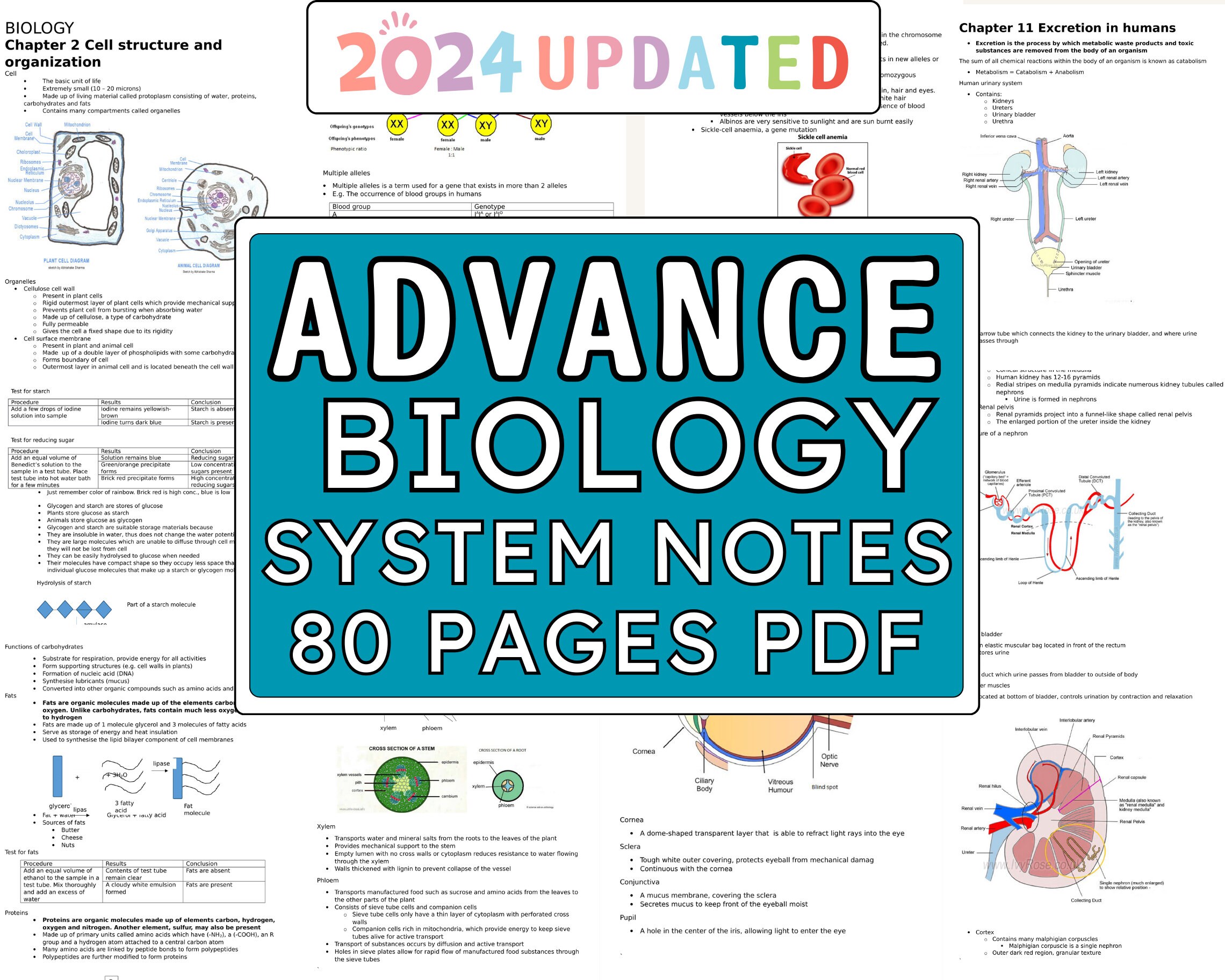 Ultimate Biology Notes Perfect for Students to Learn and Succeed in ...