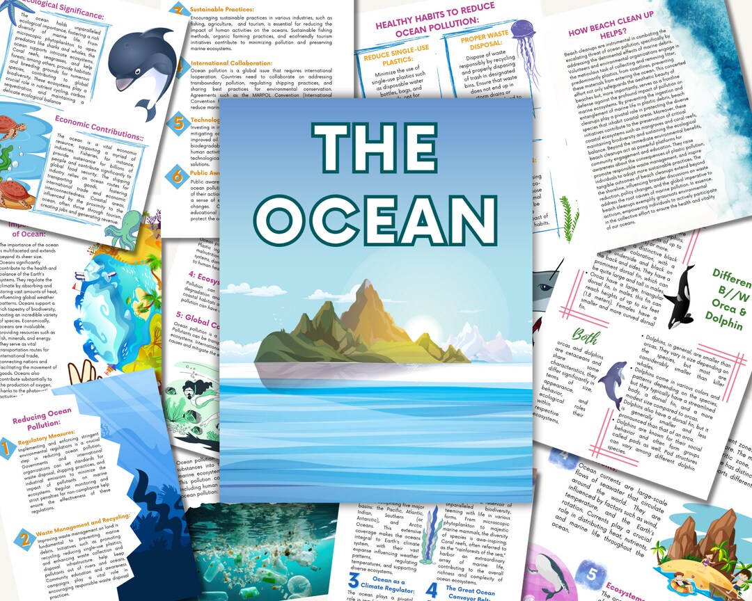 Ocean Unit Study 2024, Ocean Layers, Ocean Animals Study, Ocean ...