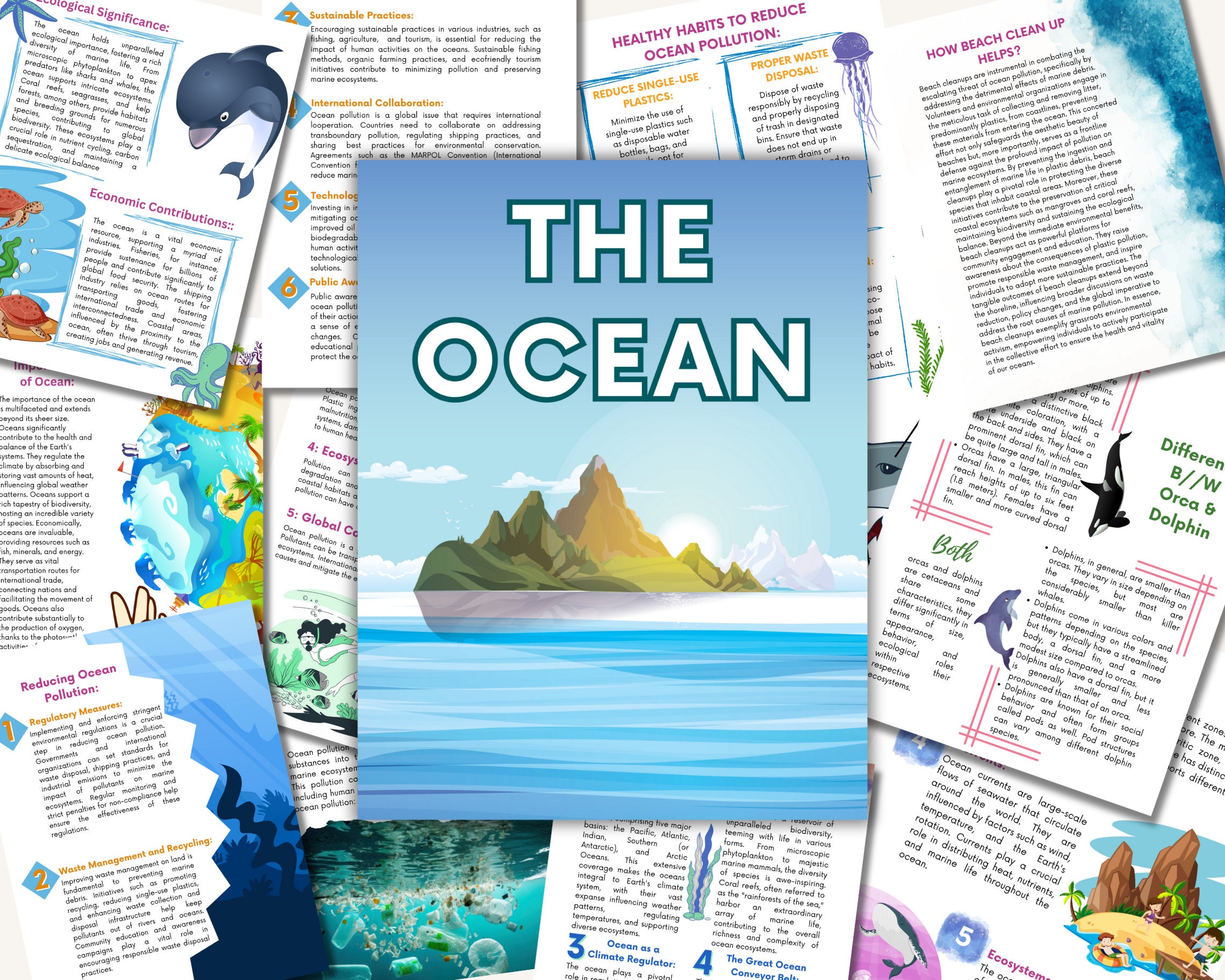 Ocean Unit Study 2024, Ocean Layers, Ocean Animals Study, Ocean ...