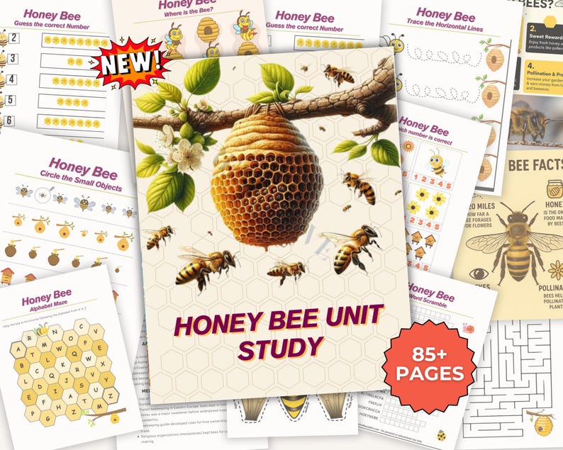 Honey Bee Unit Study, Nature Learning, Bee Life Cycle, Homeschool PDF ...
