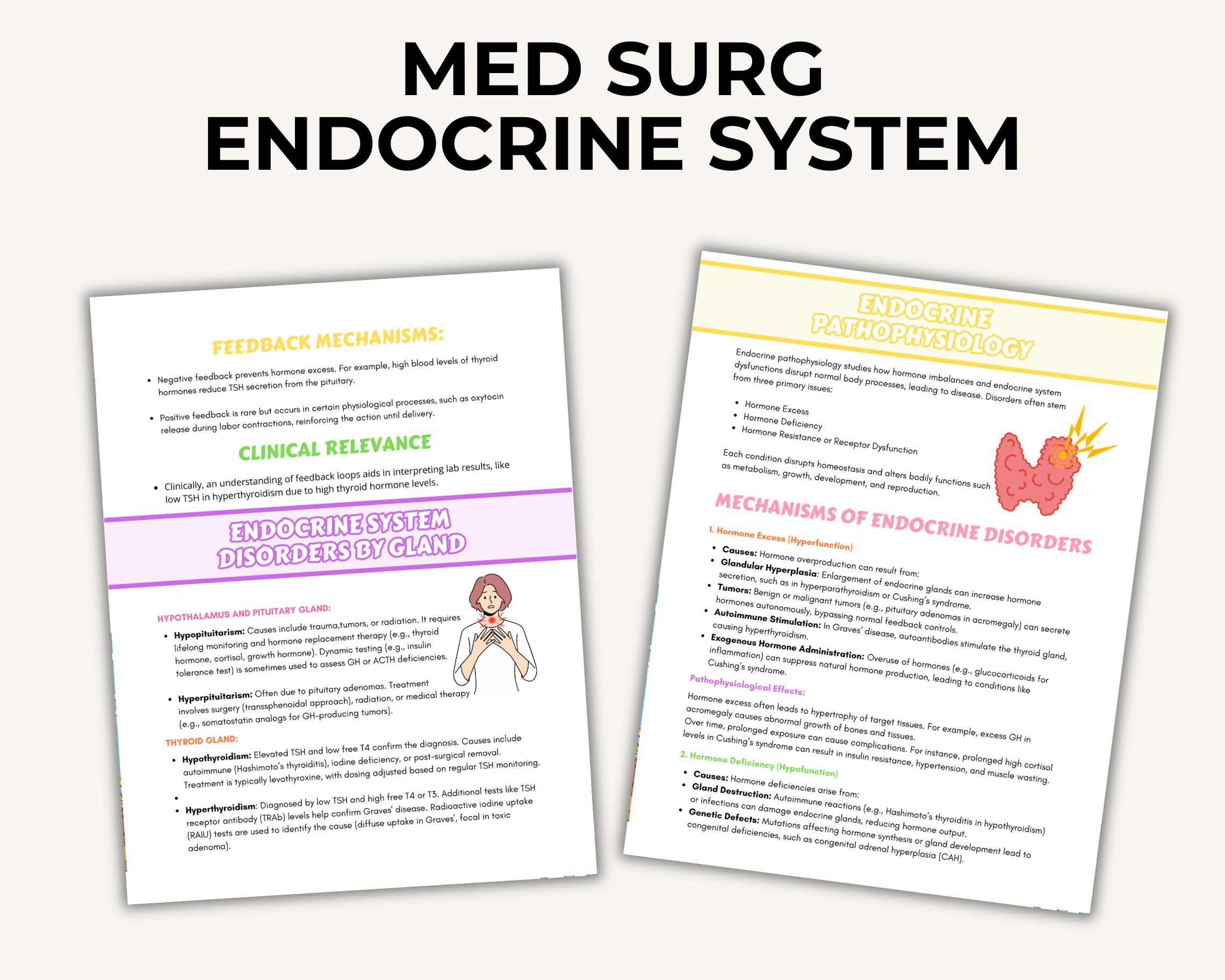 Endocrine System Nursing Study Guide, Endocrine Disorders, Endocrine ...
