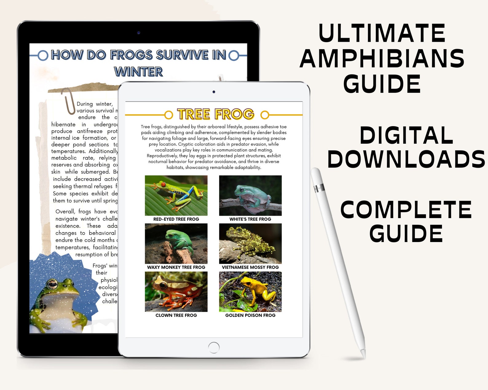 Amphibian Unit Mysteries Unfolded: A Complete Study Companion ...