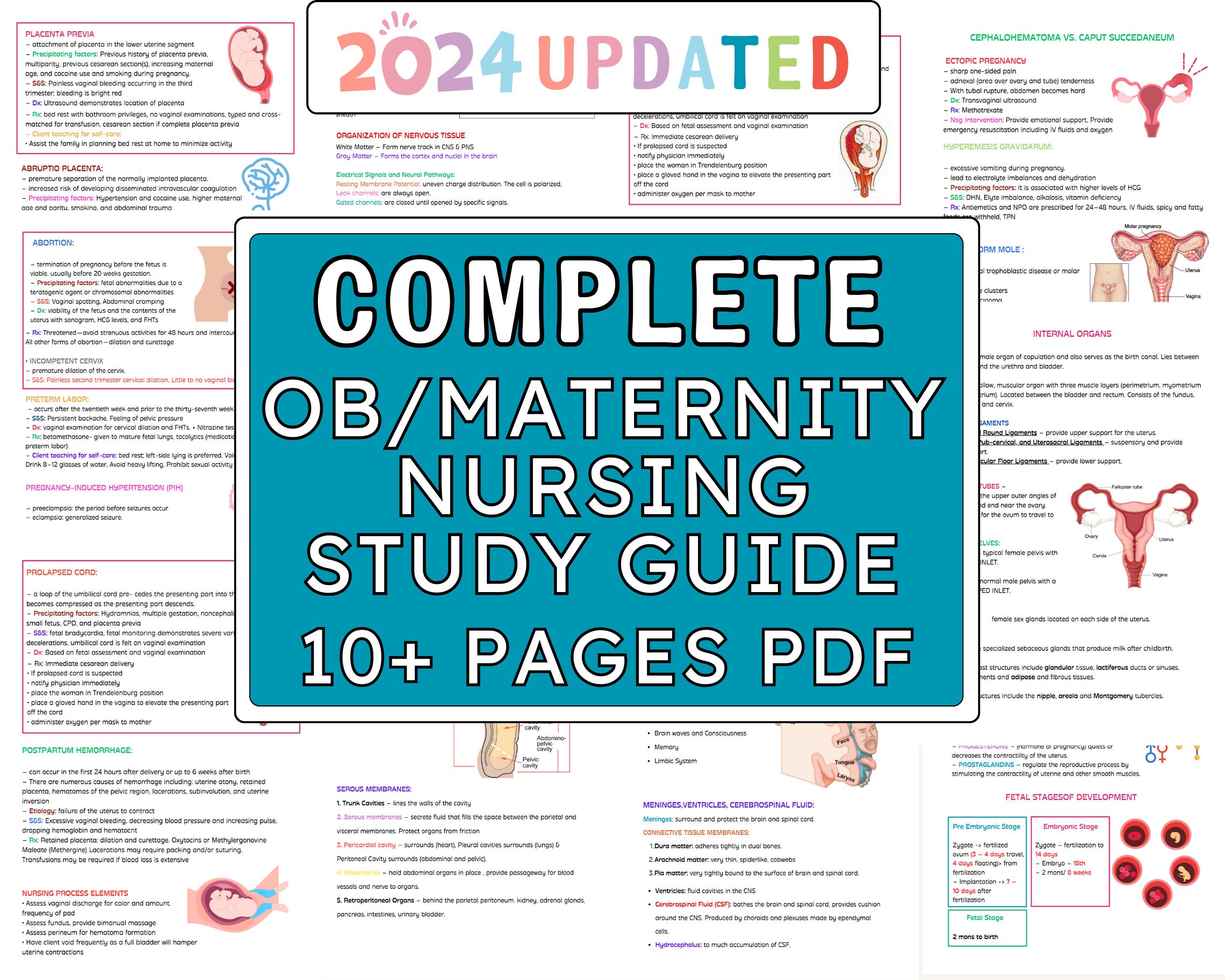 Next Generation Maternity Nursing Study Guide Bundle Perfect for ...
