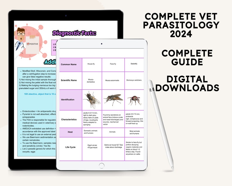 Veterinary Parasitology Study Guide: Vet Tech Notes Bundle (digital ...
