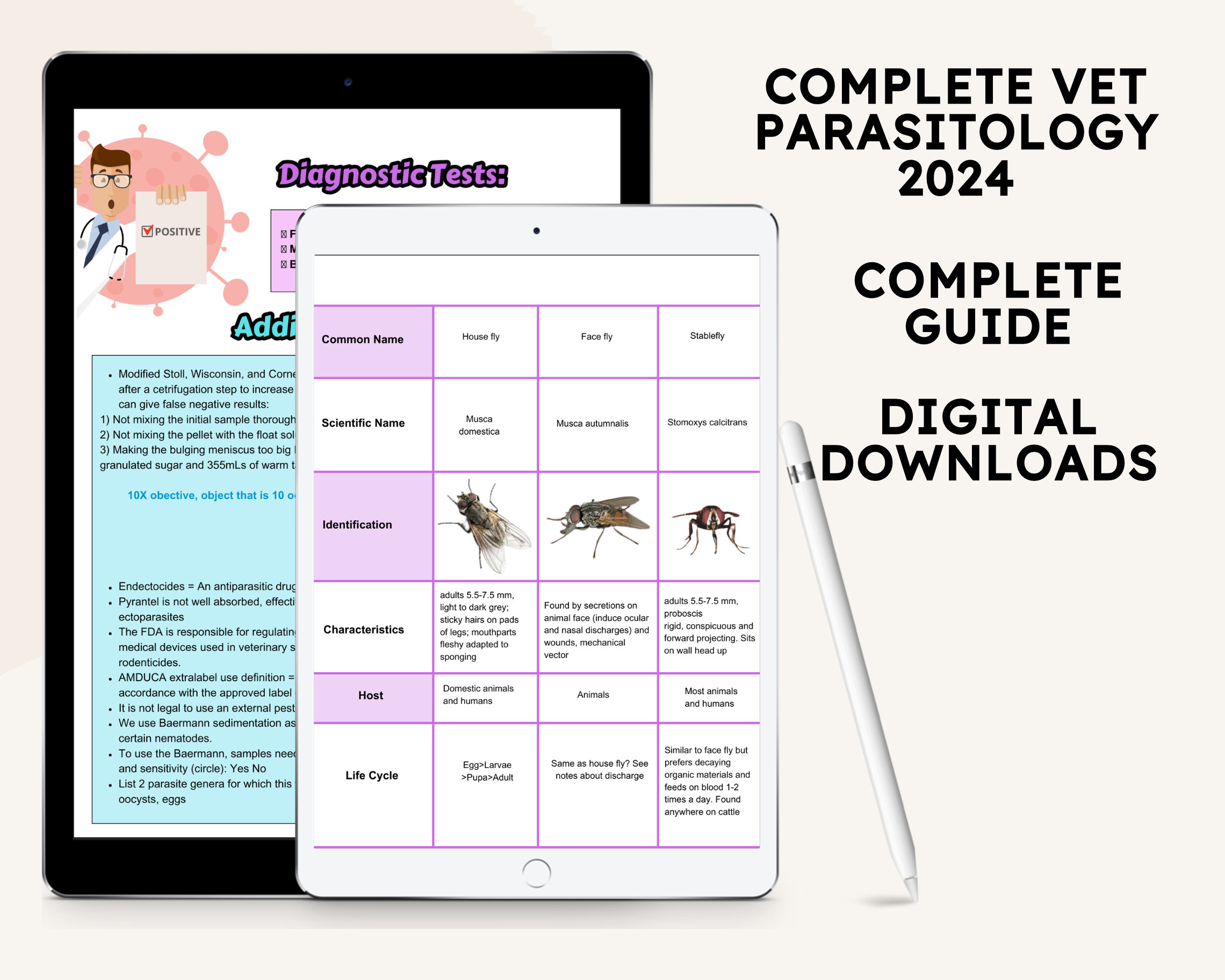 Veterinary Parasitology Study Guide: Vet Tech Notes Bundle (digital ...