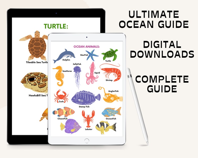 Ocean Unit Study 2024, Ocean Layers, Ocean Animals Study, Ocean ...