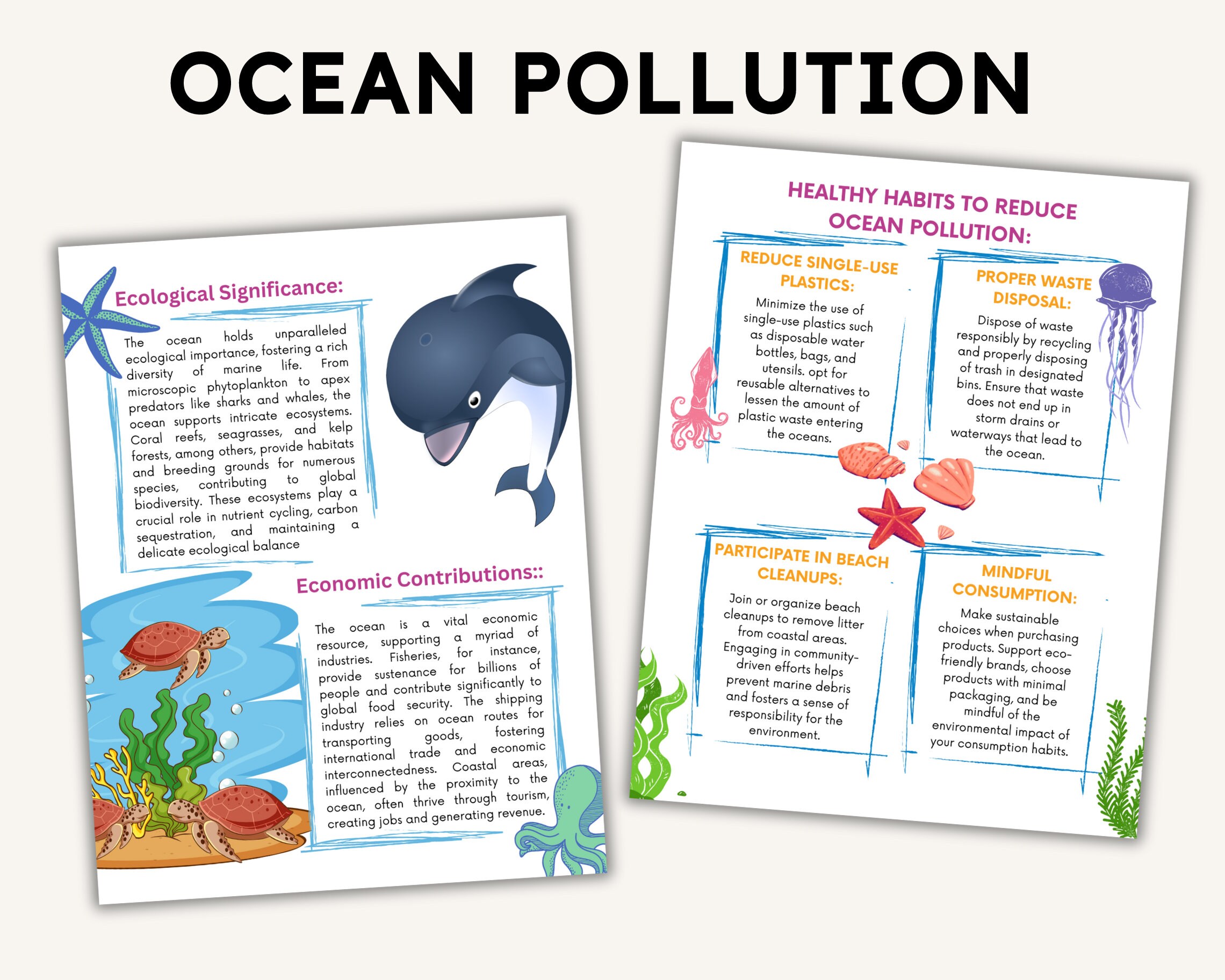 Ocean Unit Study 2024, Ocean Layers, Ocean Animals Study, Ocean ...