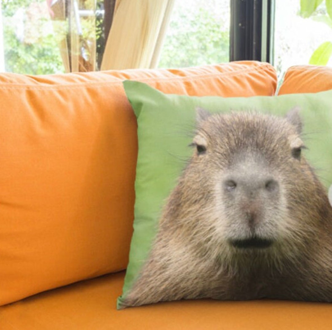 Capybara Pillow, Capybara Shirt, Capybara Sweater, Capybara Gift ...