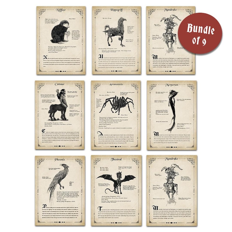 Bundle Set of 9 Fantastic Beast Poster, Wizarding World, Care of ...