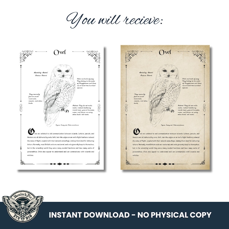 Owl Fantastic Beast Poster, Wizarding World, Care of Magical Creatures ...