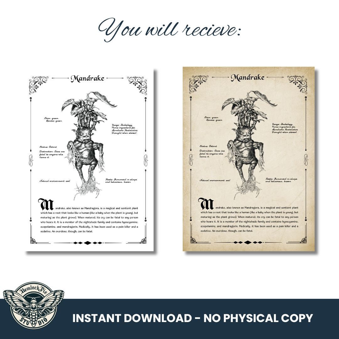 Mandrake Fantastic Beast Poster, Wizarding World, Herbology Class ...