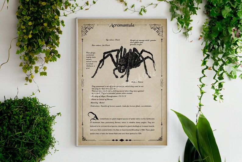 Acromantula Fantastic Beast Poster, Wizarding World, Care of Magical ...