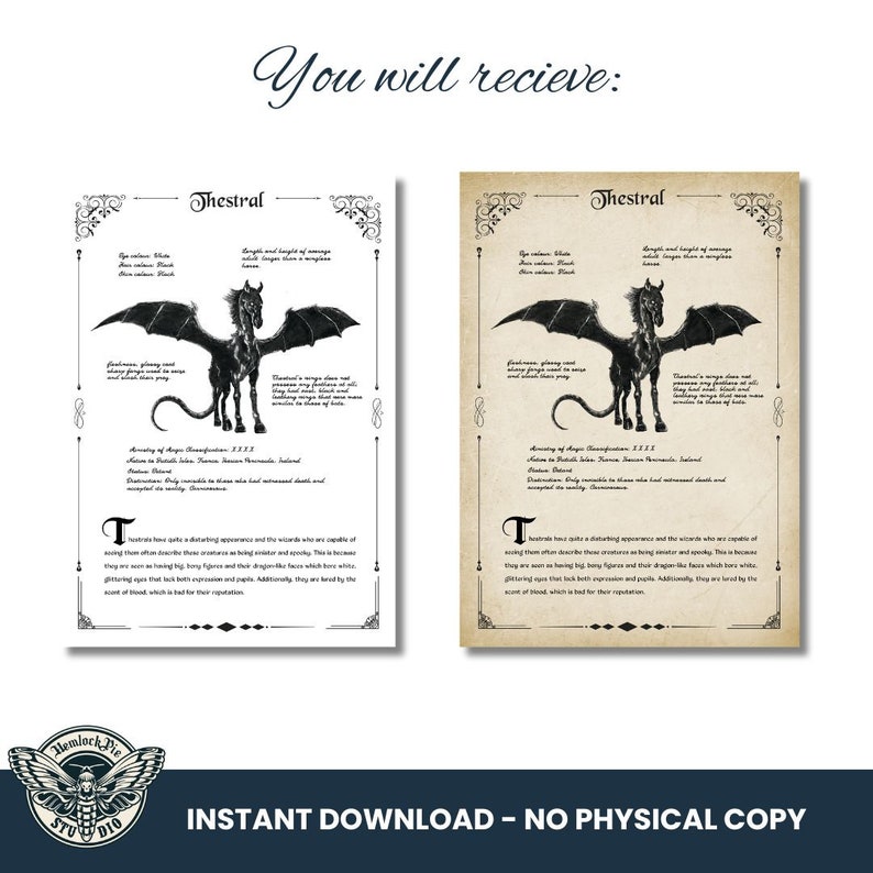 Thestral Fantastic Beast Poster, Wizarding World, Care of Magical ...