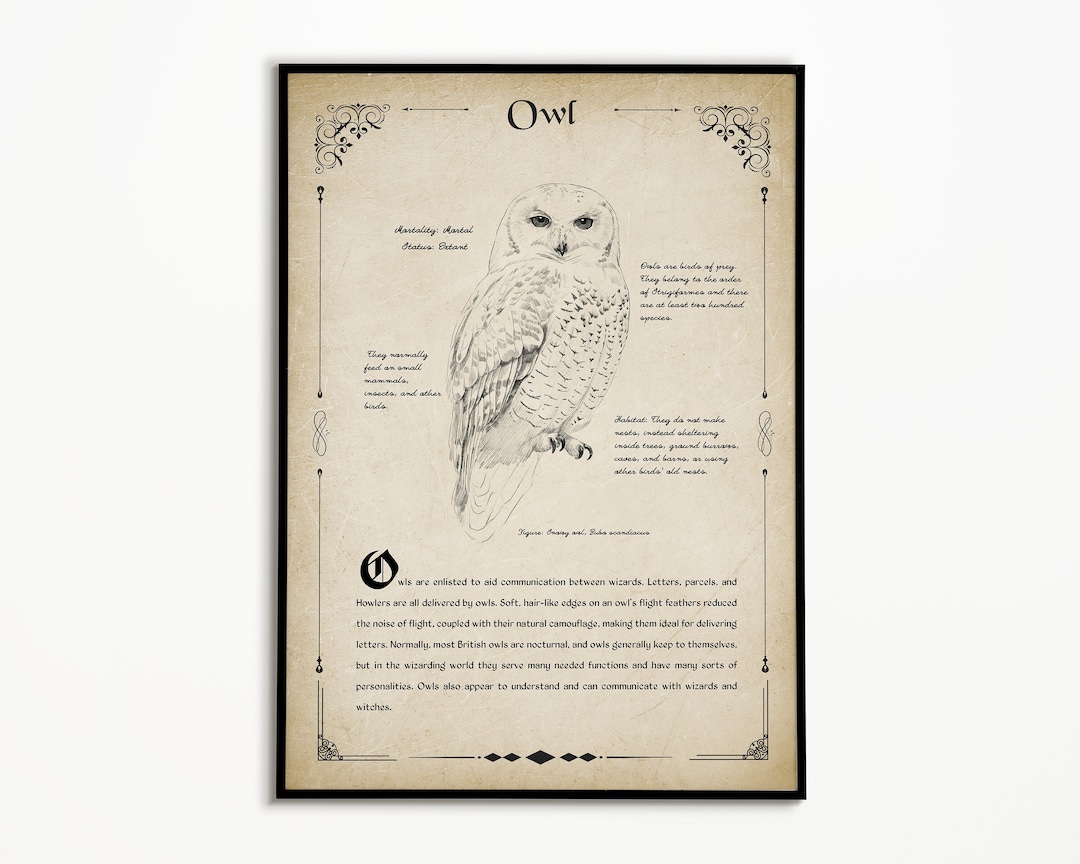 Owl Fantastic Beast Poster, Wizarding World, Care of Magical Creatures ...