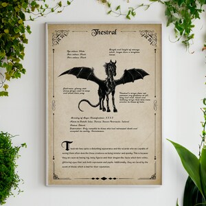 Thestral Fantastic Beast Poster, Wizarding World, Care of Magical ...