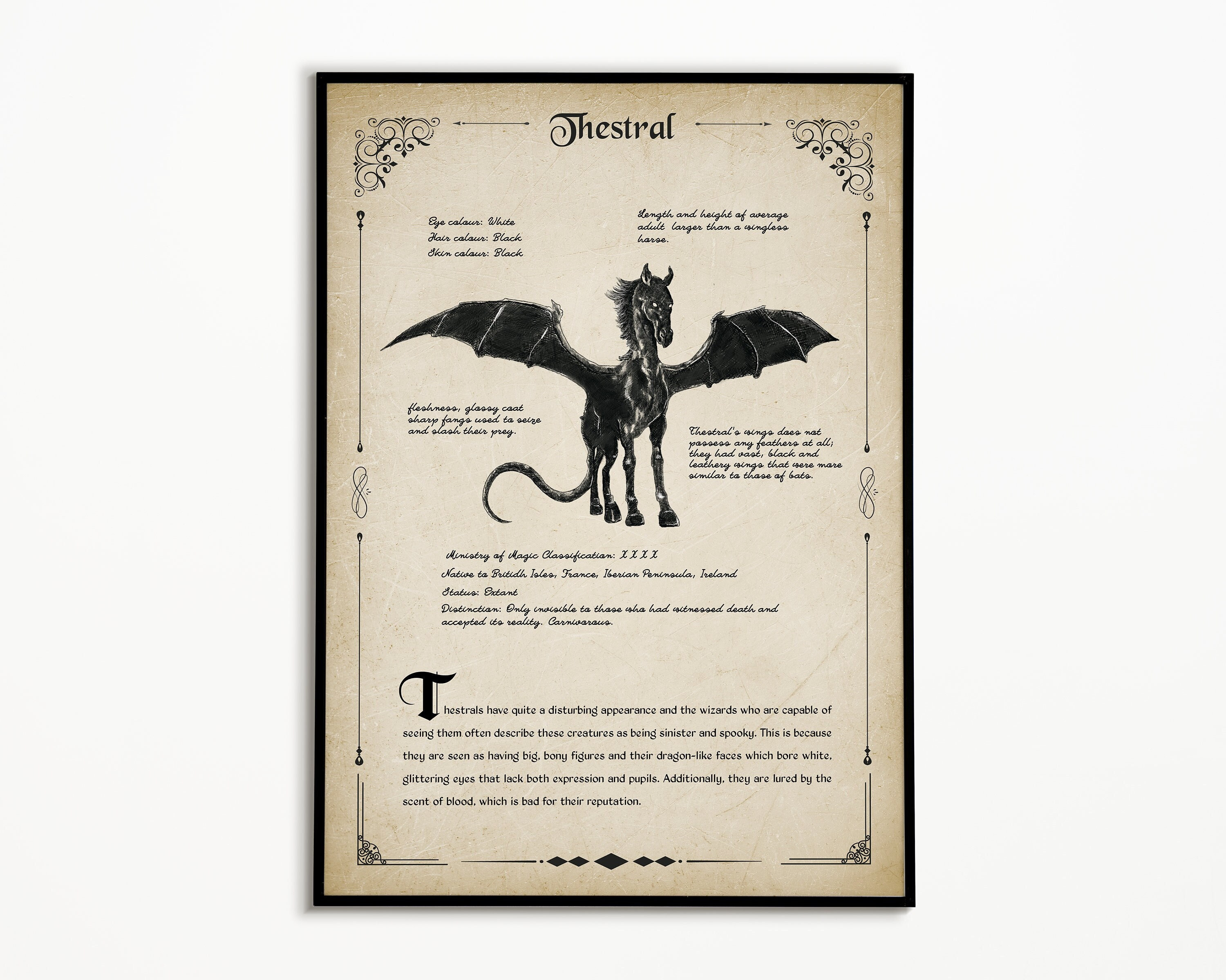 Thestral Fantastic Beast Poster, Wizarding World, Care of Magical ...