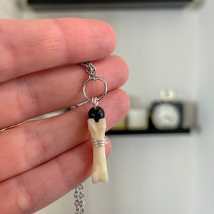 Real Bone Coyote Toe Necklace, Taxidermy Jewelry, Whimsigoth Necklace ...