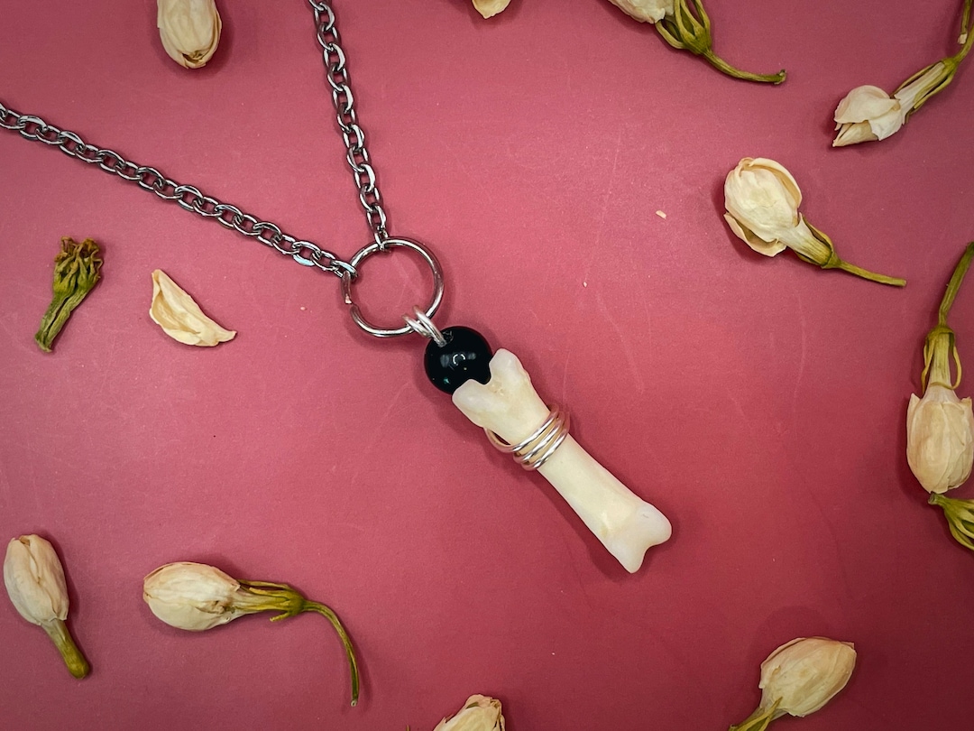 Real Bone Coyote Toe Necklace, Taxidermy Jewelry, Whimsigoth Necklace ...