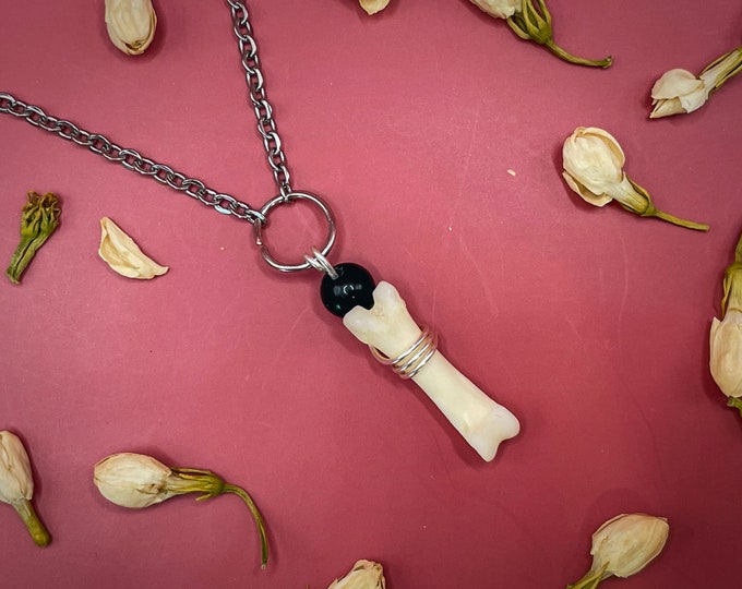 Real Bone Coyote Toe Necklace, Taxidermy Jewelry, Whimsigoth Necklace ...