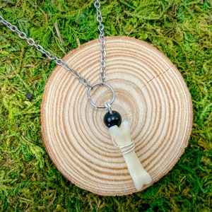 Real Bone Coyote Toe Necklace, Taxidermy Jewelry, Whimsigoth Necklace ...