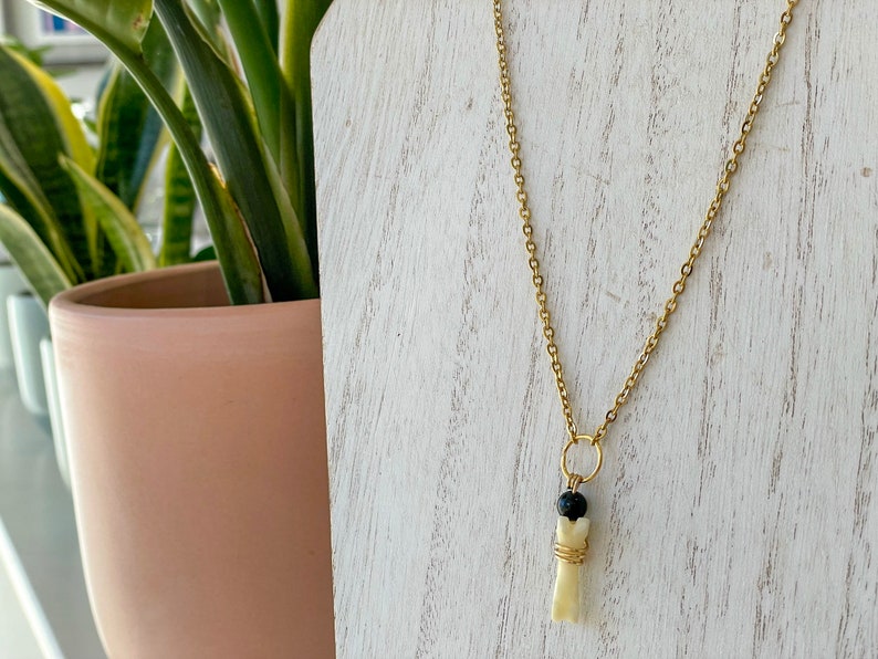Real Bone Coyote Toe Necklace, Taxidermy Jewelry, Whimsigoth Necklace ...