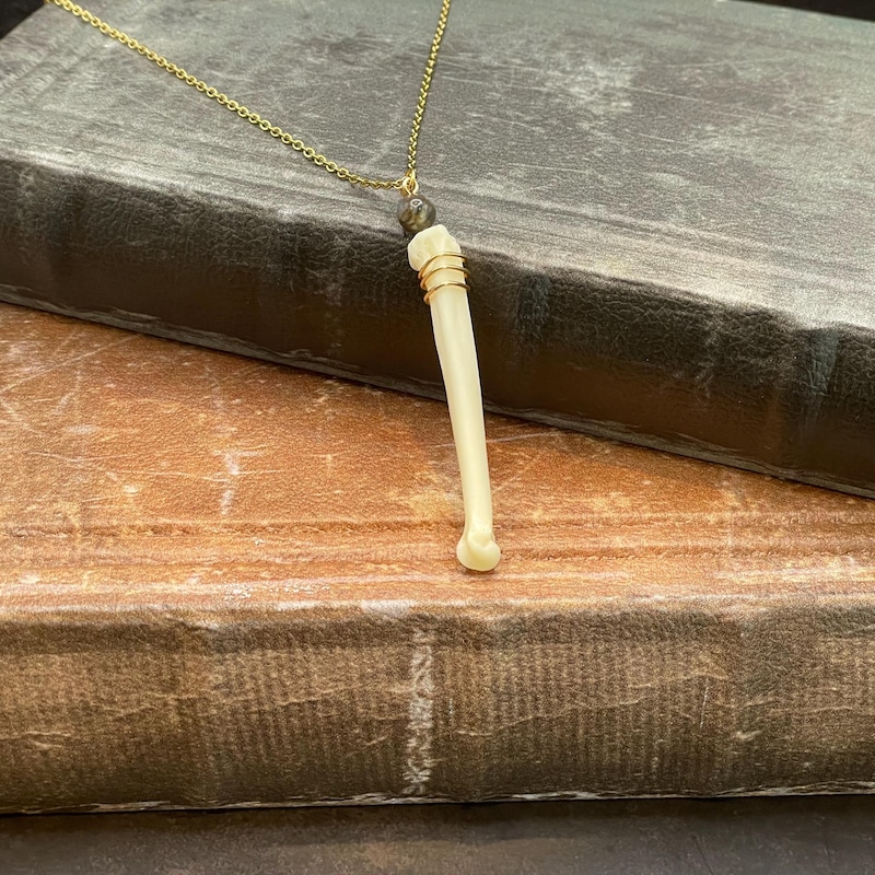 LittleCuriosityLab - Etsy