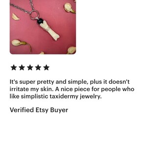 Real Bone Coyote Toe Necklace, Taxidermy Jewelry, Whimsigoth Necklace ...