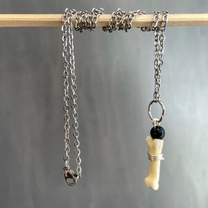 Real Bone Coyote Toe Necklace, Taxidermy Jewelry, Whimsigoth Necklace ...