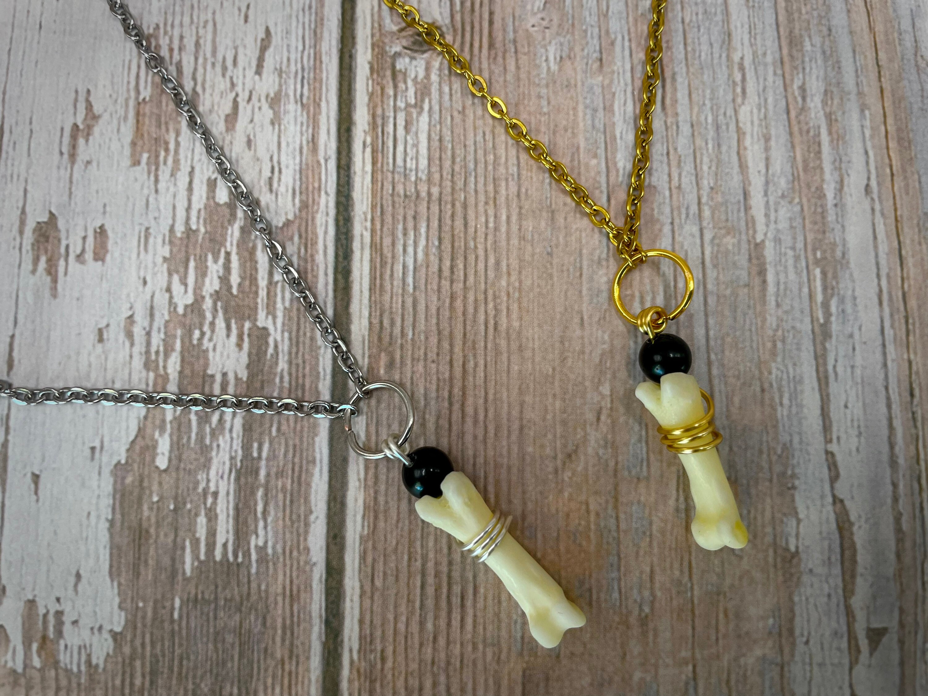 Real Bone Coyote Toe Necklace, Taxidermy Jewelry, Whimsigoth Necklace ...