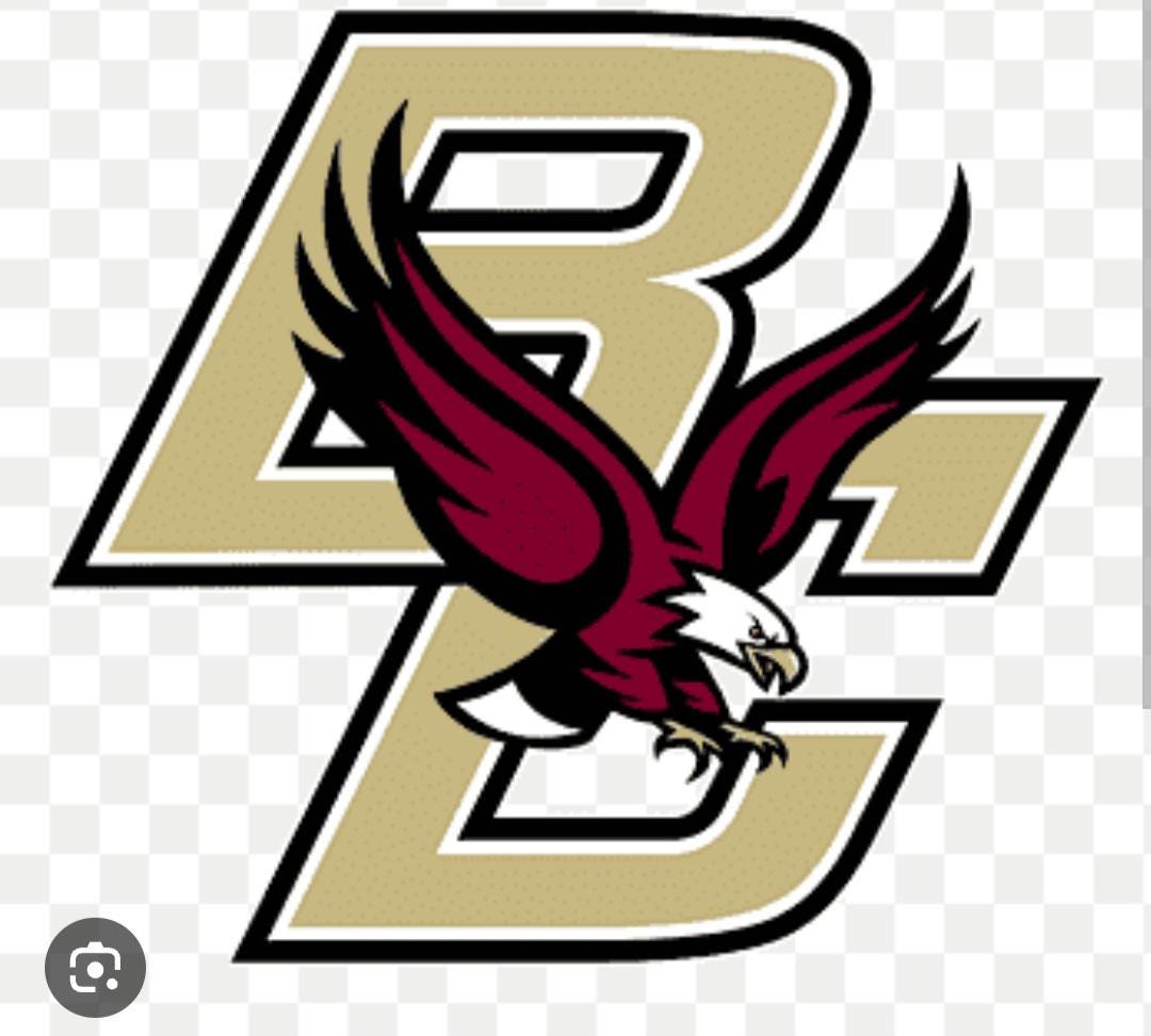 Hand Painted Football Field Serving Platter/ Custom Listing/ Florida ...