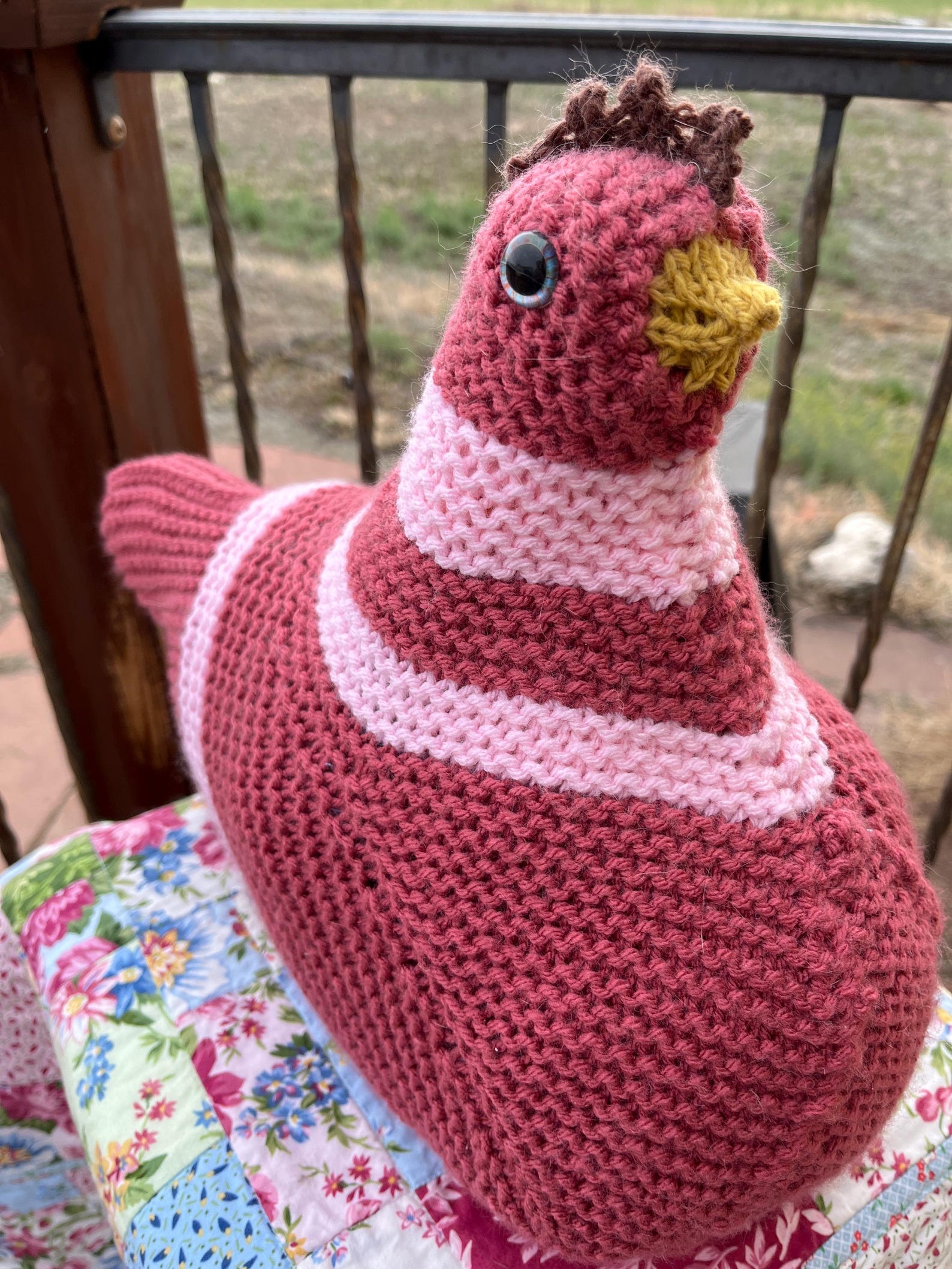 Adopt Miss Rose a Hand Knit Emotional Support Chicken, Pink, Cozy ...