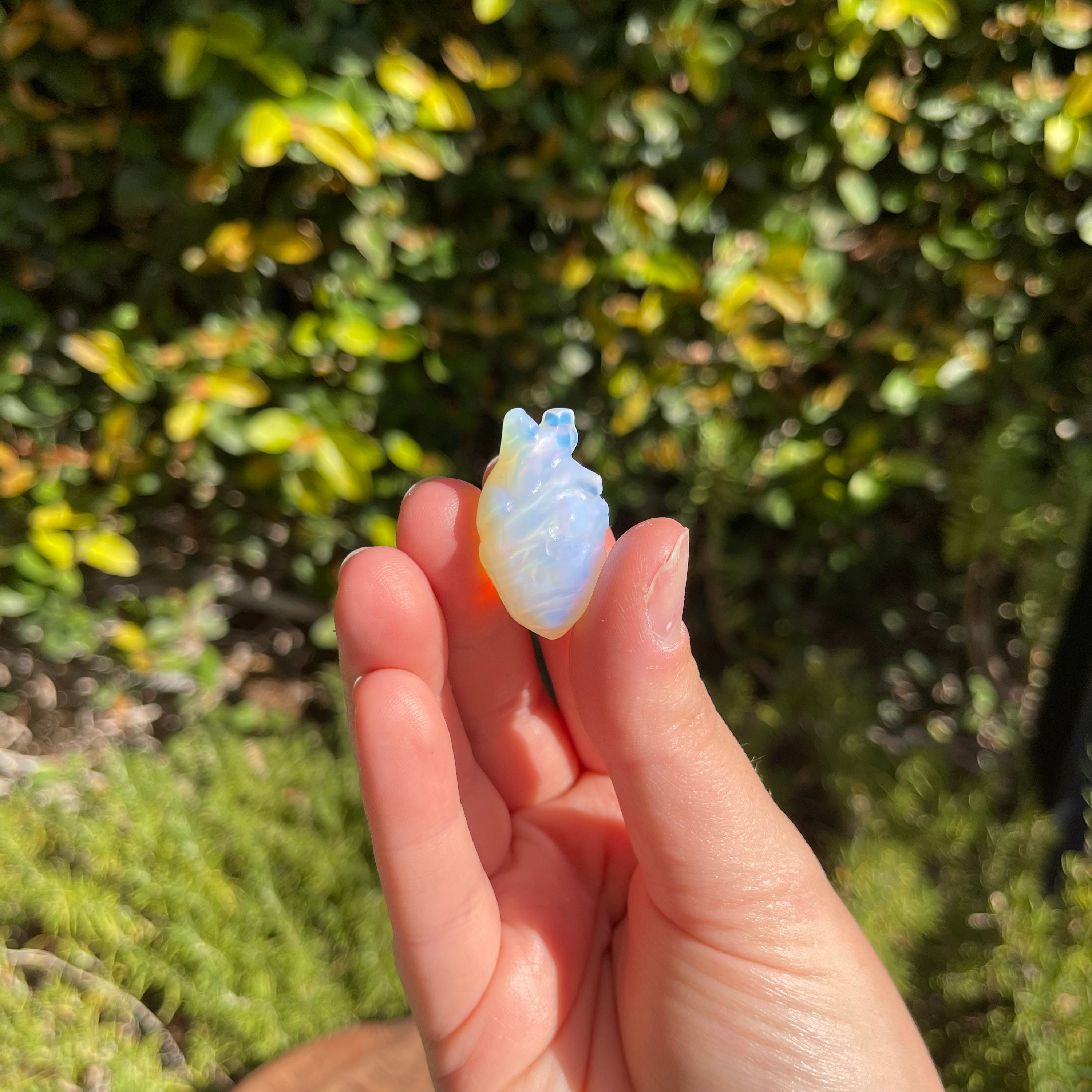 Anatomical Heart Crystals - Etsy