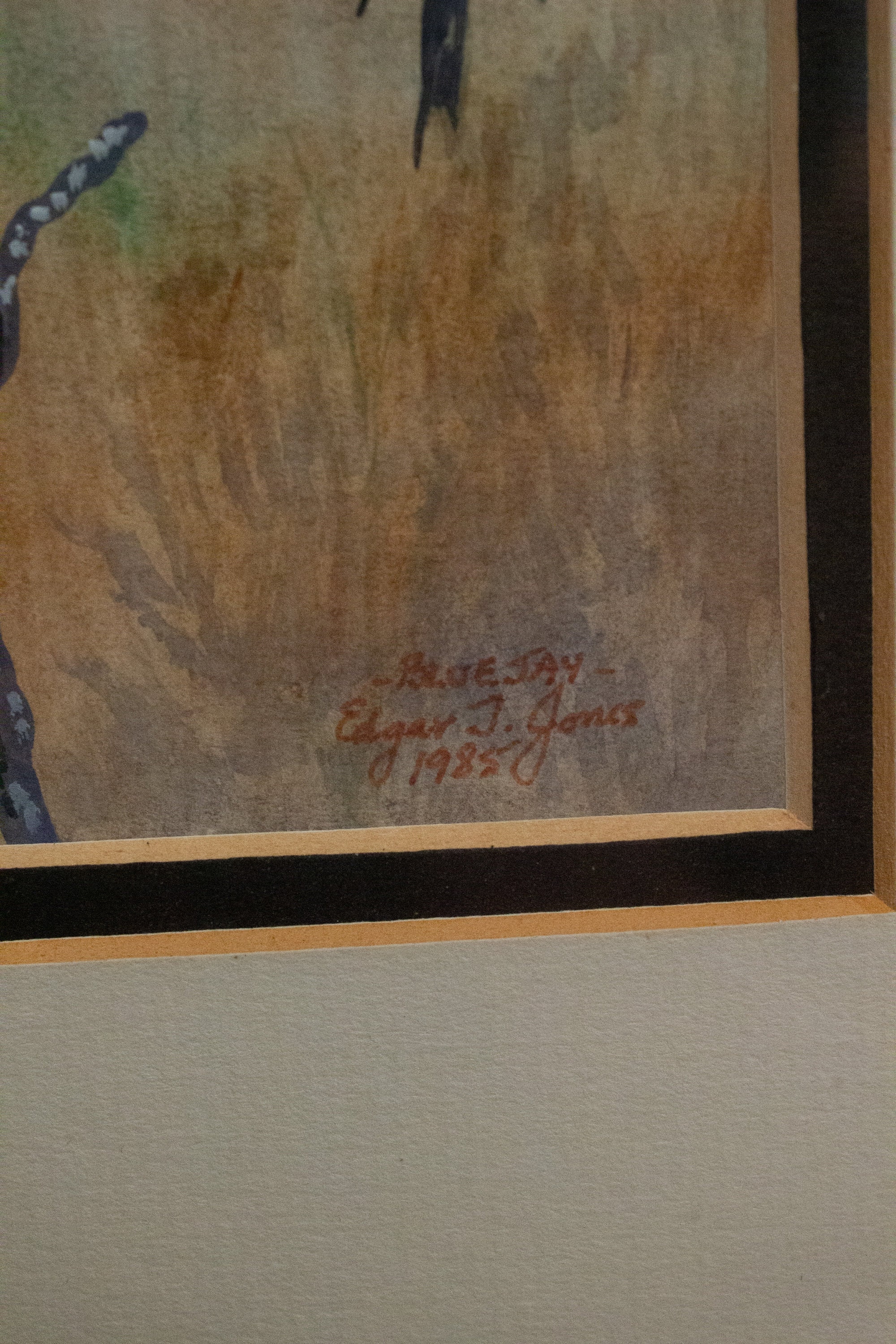 Edgar T Jones - Blue Jay Bird - Signed Vintage Original Watercolour ...