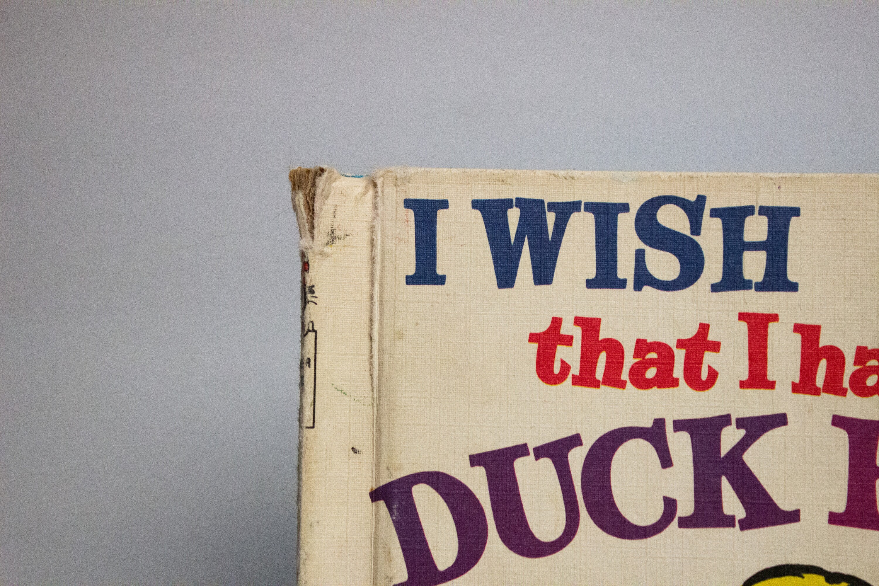 I Wish I Had Duck Feet - Dr. Seuss Book - Etsy