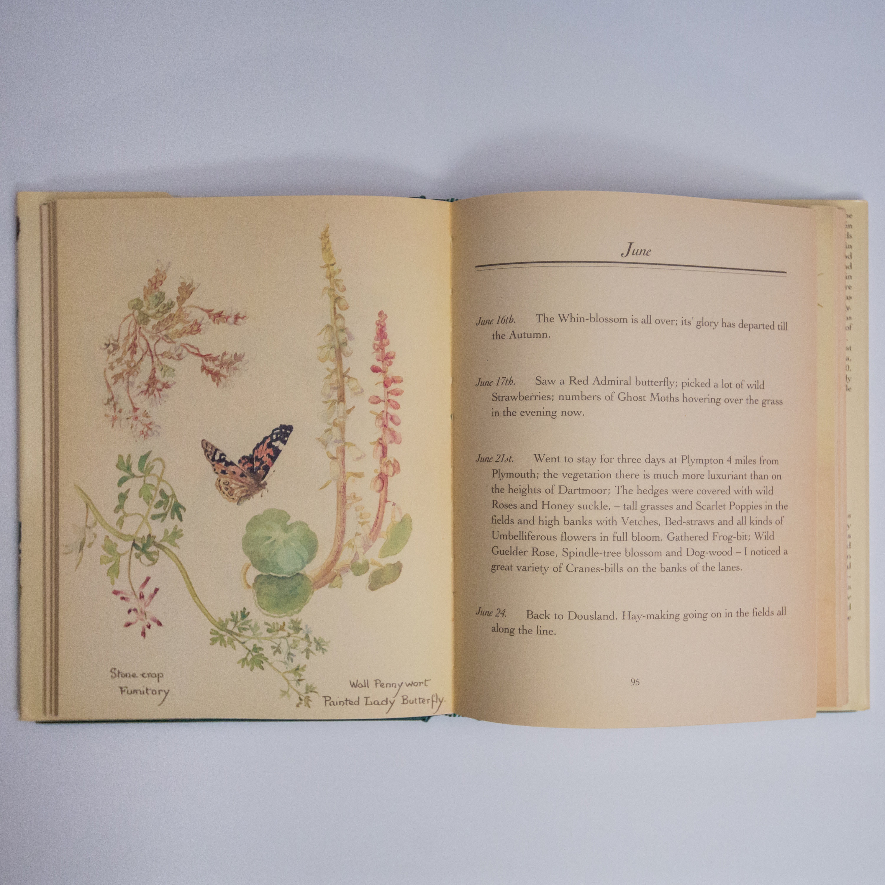 The Nature Notes of an Edwardian Lady by Edith Holden 1989 - Etsy