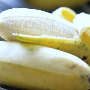 Non-gmo SEEDS – EXTREMELY Rare Dwarf “blue Java” Aka Ice Cream Banana ...