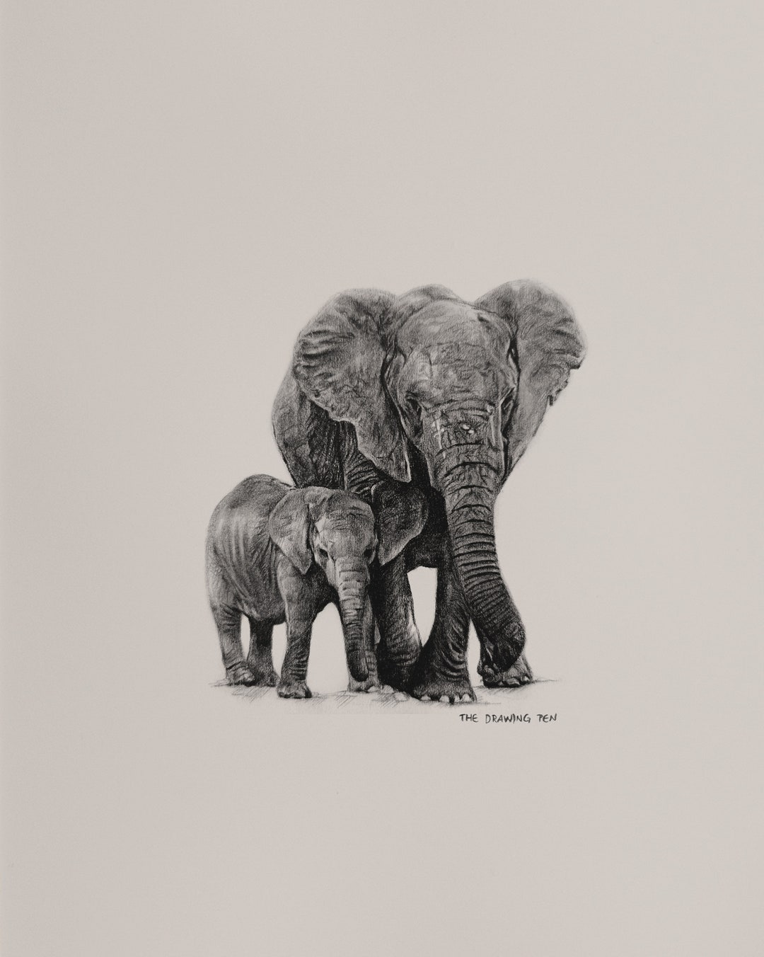 Elephant Pencil Drawing Wall Art | Minimalist Animal Wall Art Pencil ...