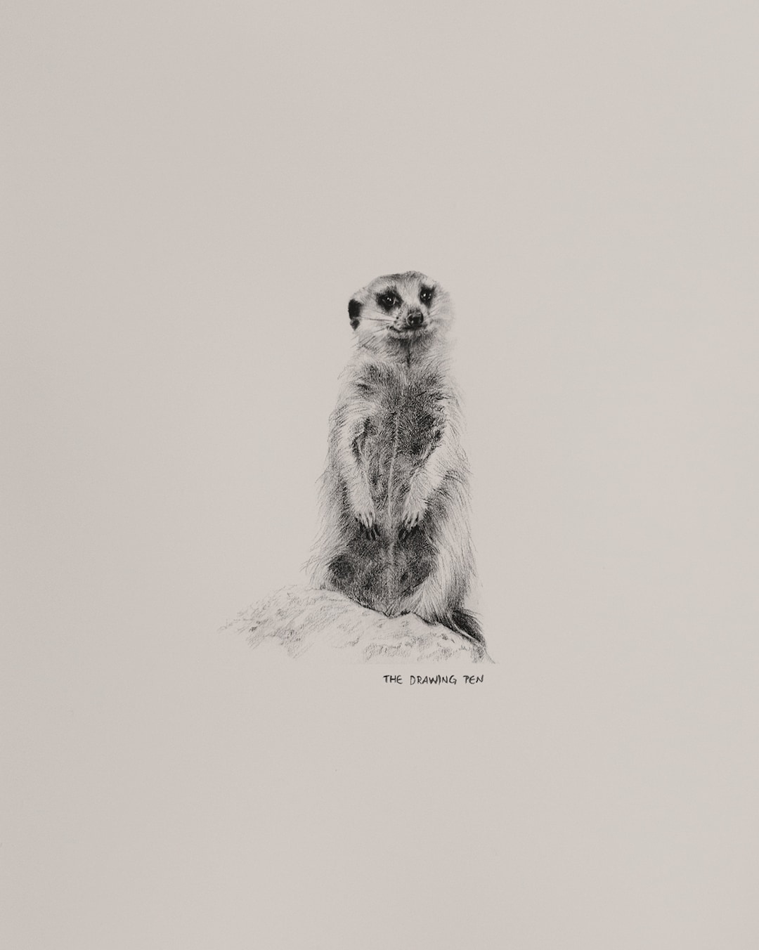 Meerkat Pencil Drawing Wall Art | Minimalist Animal Wall Art Pencil ...